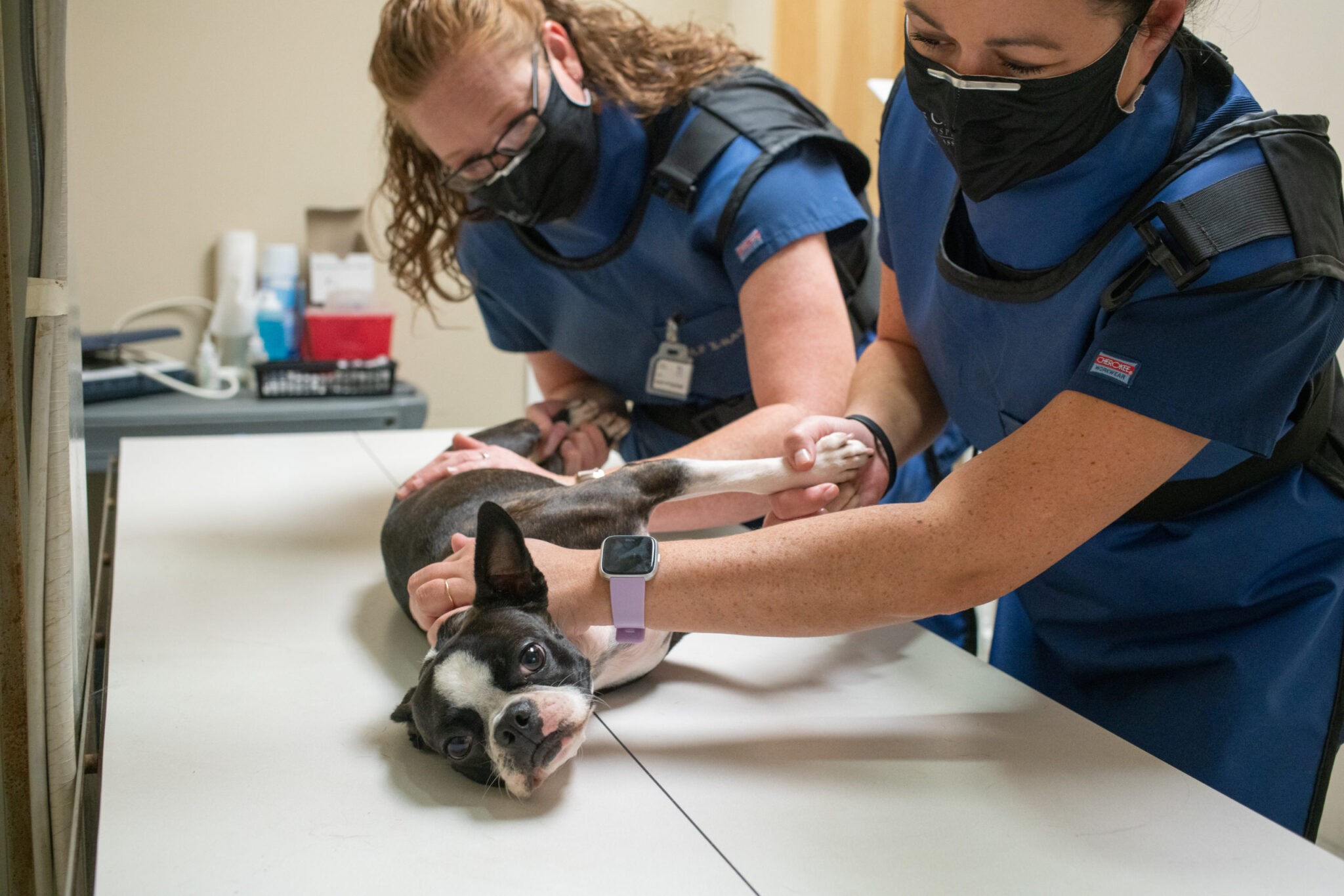 Meet the Staff | Scotts Creek Animal Hospital | Veterinarian