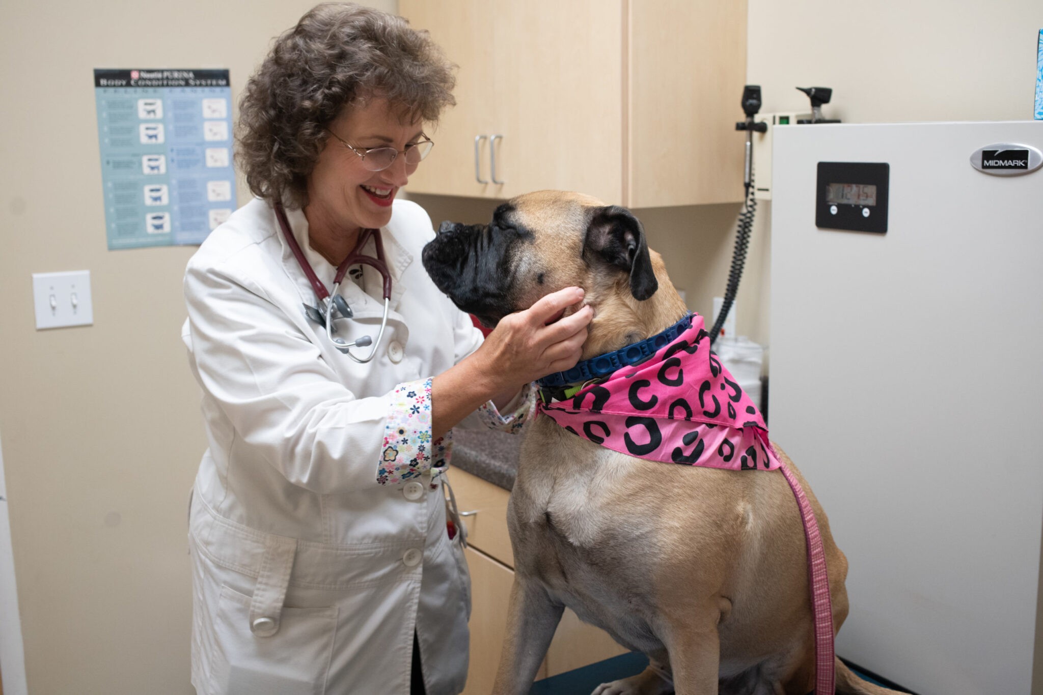 Meet the Staff | Scotts Creek Animal Hospital | Veterinarian